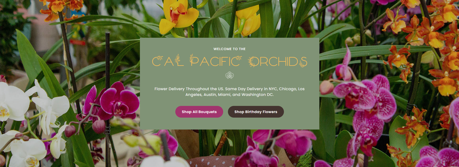 Orchids for Every Occasion - Cal Pacific Orchid Farm
